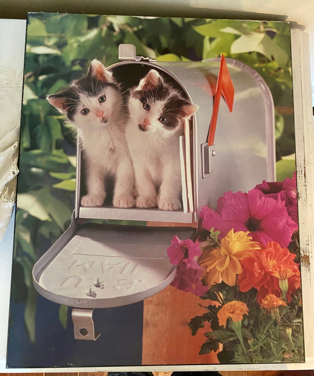 Vintage 80s 90s Kittens in Mailbox With Flowers on Particle - Etsy