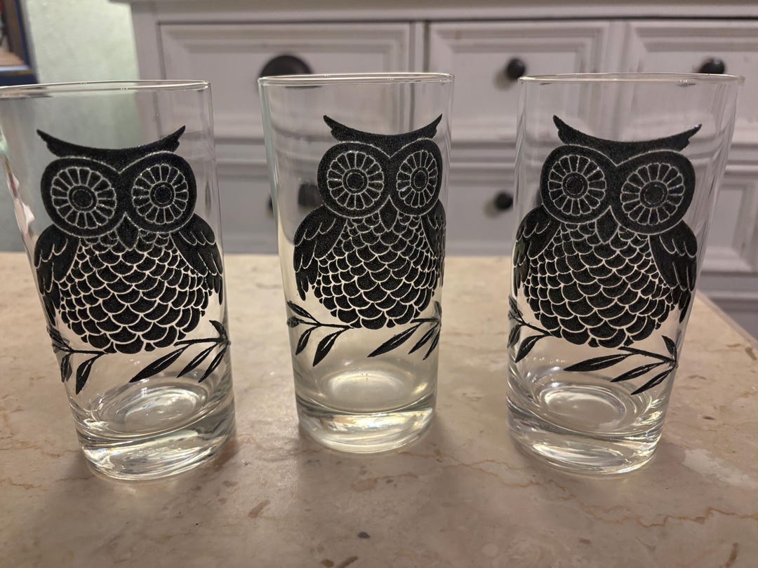 MCM Owl Glassware Tumblers West Virginia Glassware Raised Owls ...