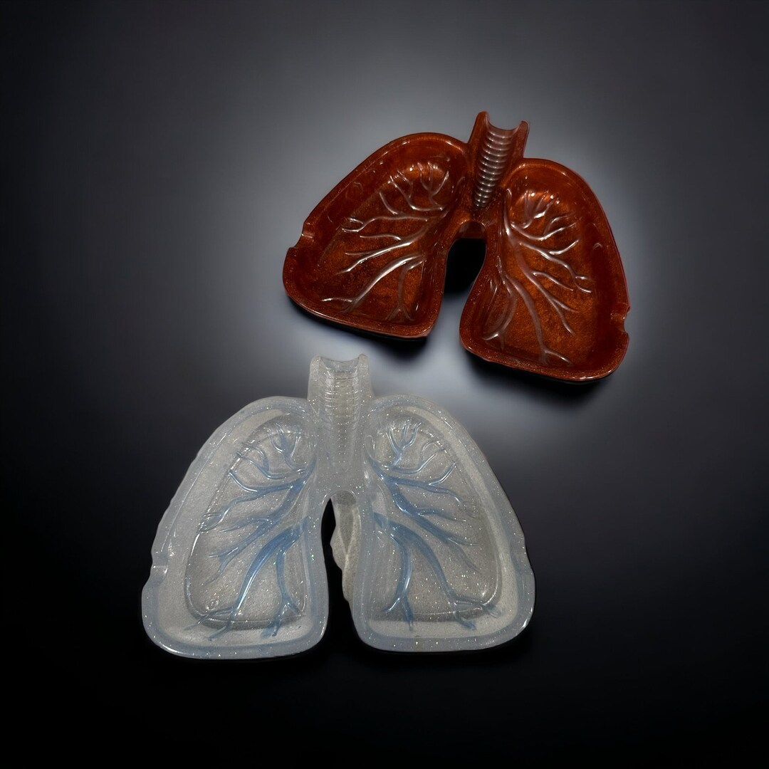 Lung Tray Resin, Halloween, Anatomy, Science, School, Preschool ...