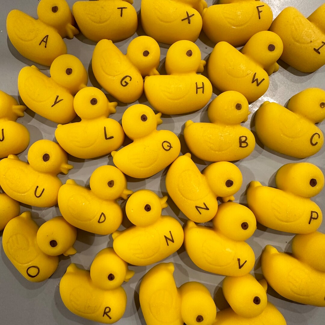 Alphabet Ducks, Letters, Resin, Homeschool, Preschool, Toddler - Etsy