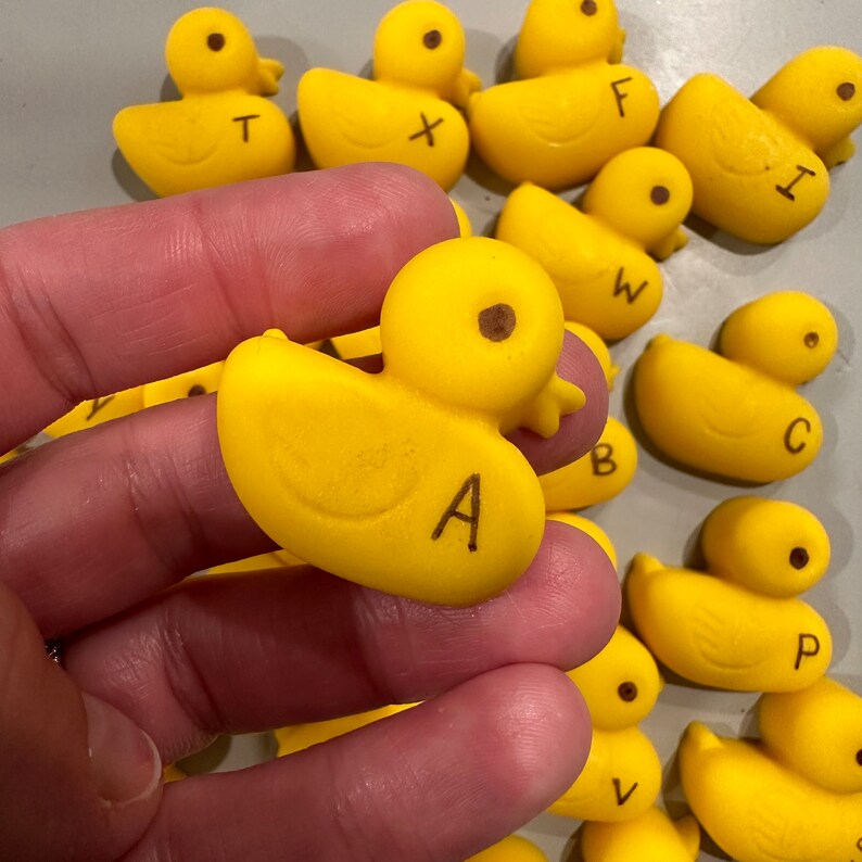 Alphabet Ducks, Letters, Resin, Homeschool, Preschool, Toddler - Etsy