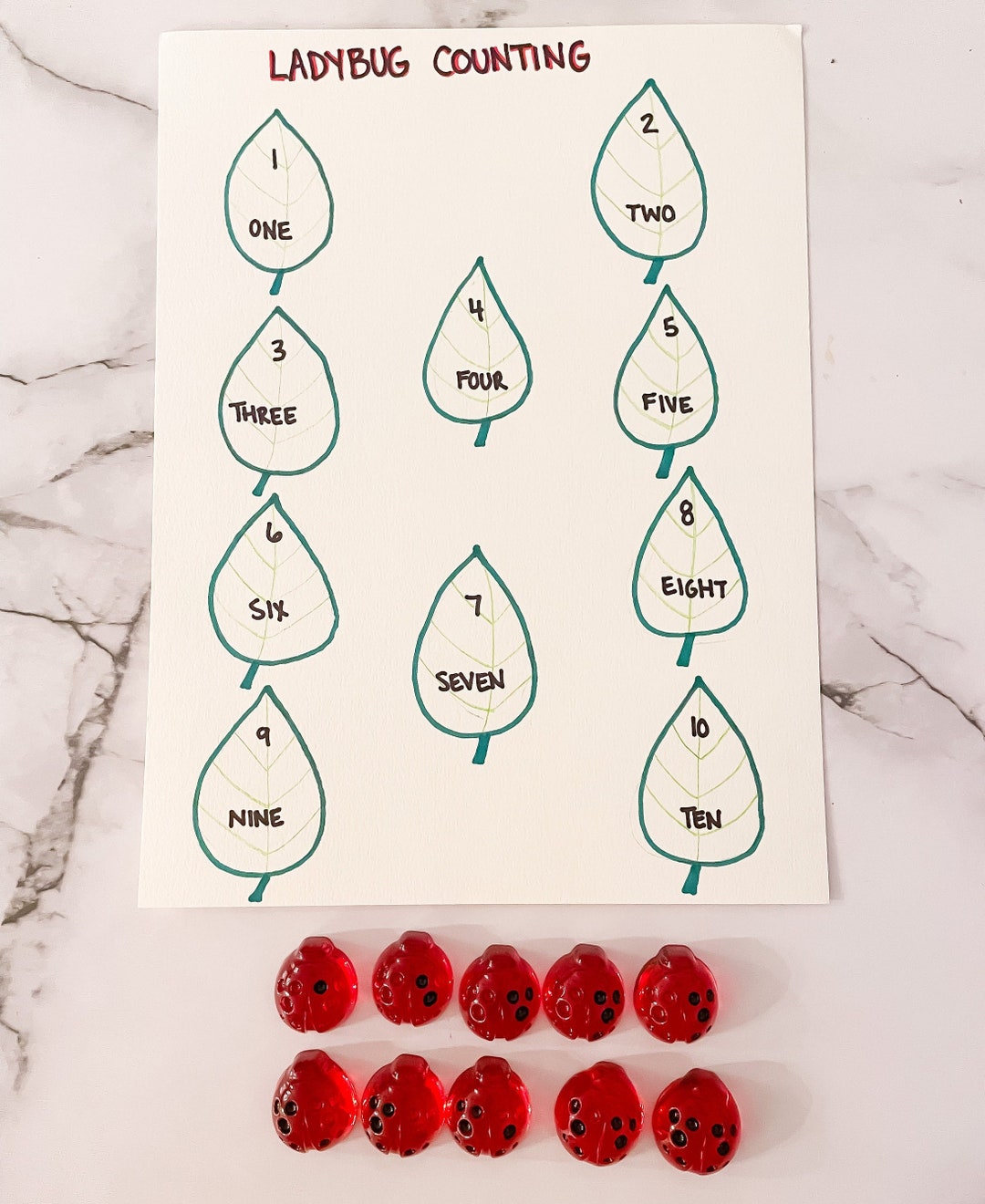 RESIN LADYBUG COUNTING, Subitizing, Counting, Number Recognition, Bugs ...