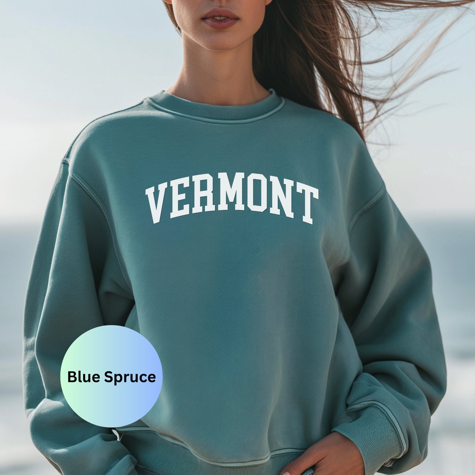 Vermont Comfort Colors Sweatshirt, Crewneck Sweatshirt, Sweatshirts for ...