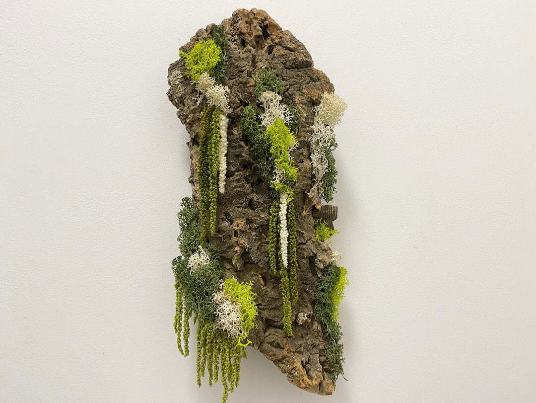Unique Handmade Wall Decor With Preserved Amaranthus | Moss Wall Decor ...