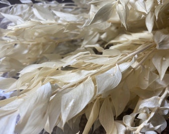 Dried Flowers Bleached Ruscus - Etsy