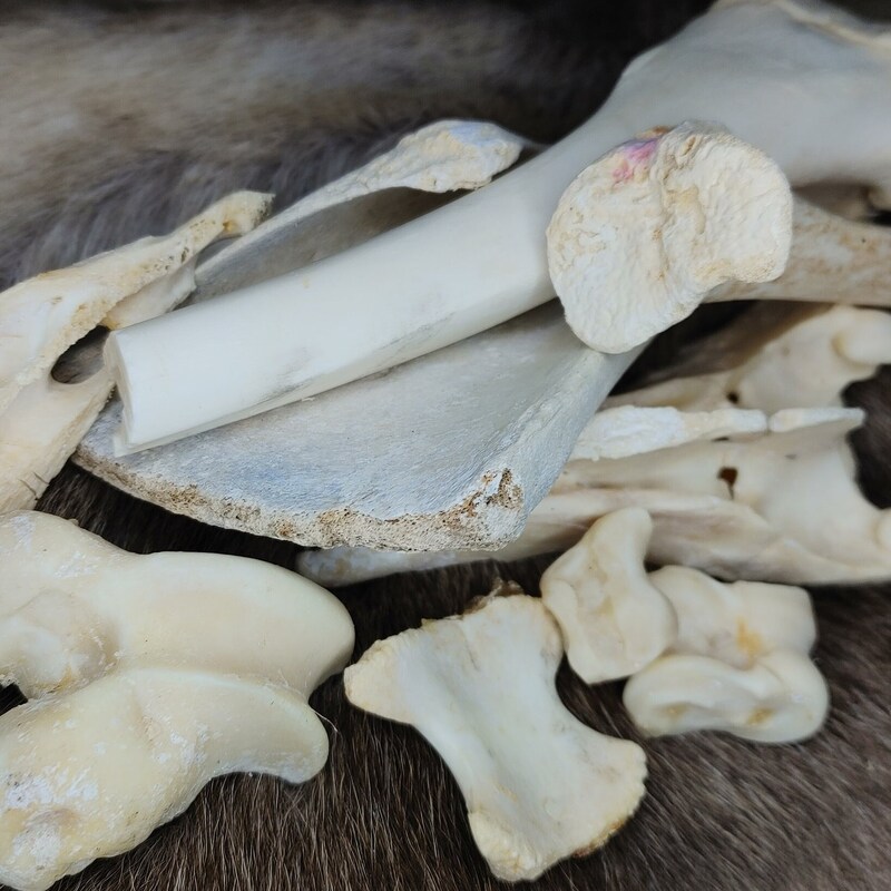 Animal Bone Jewelry - Etsy