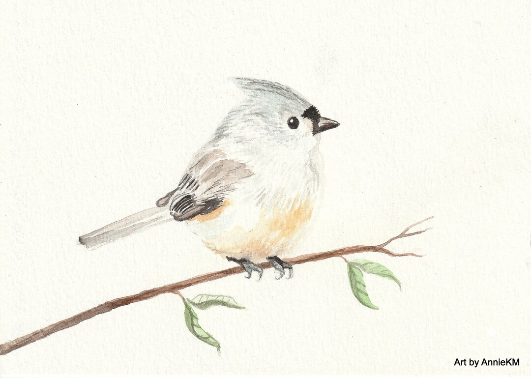 Tufted Titmouse, Baby Bird, Wildlife, Nature, 5X7 Inch Original ...