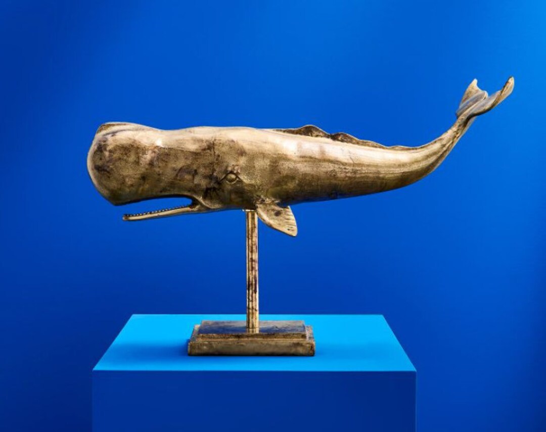 Sperm Whale Decoration Unique Whale Home Decor Whale Lover Richly ...