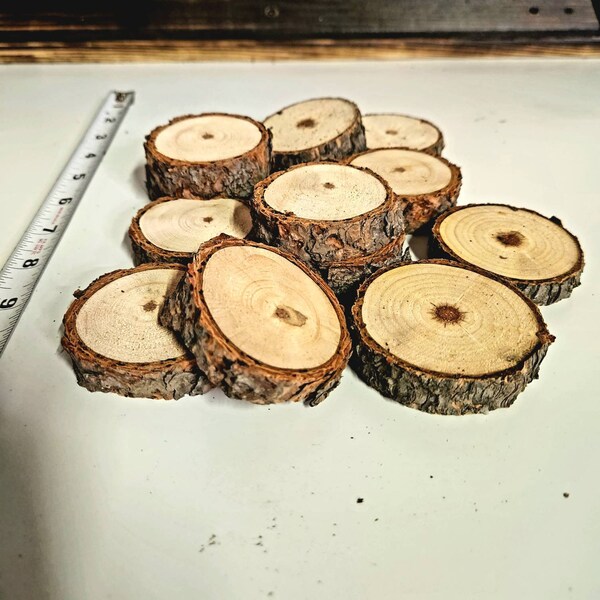 Bulk Wood Slices - Etsy