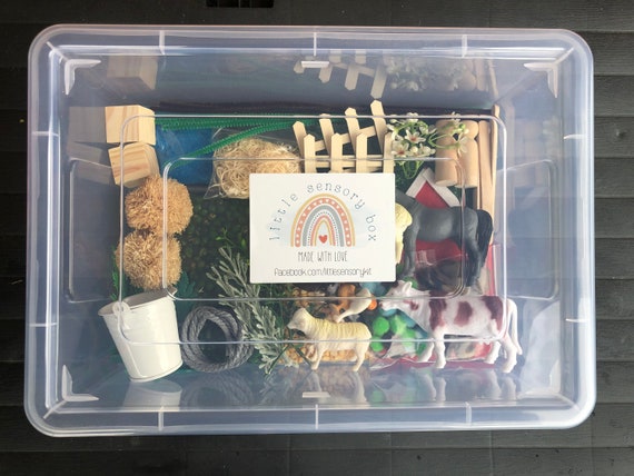 Farm Sensory Box | Etsy