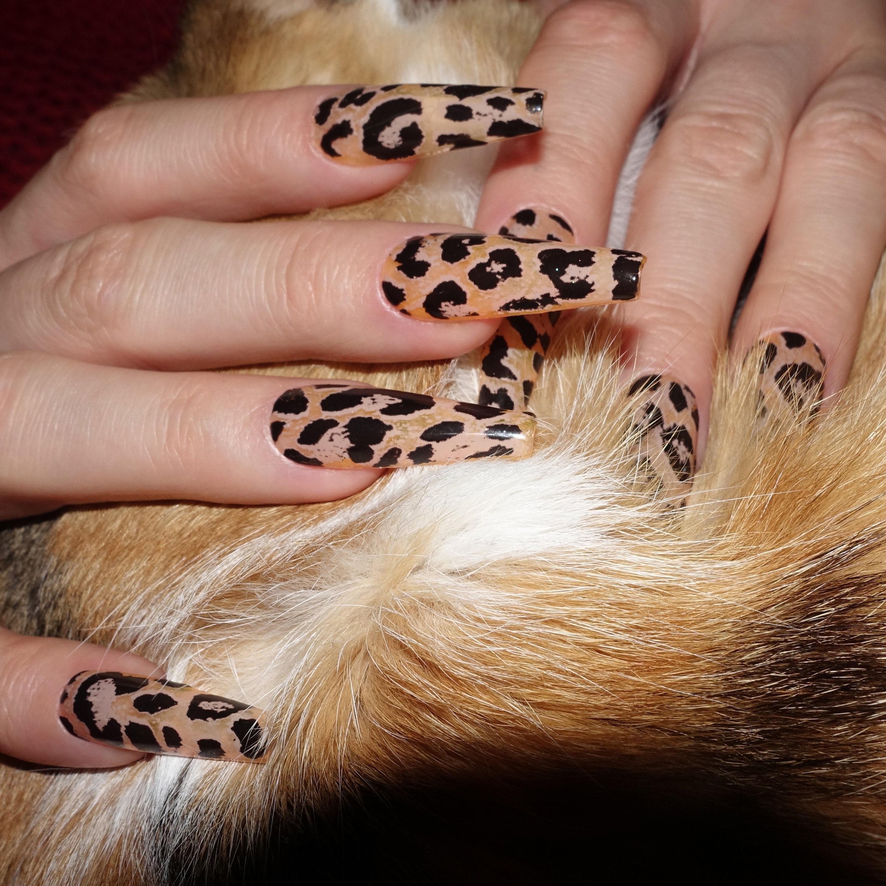 Acrylic Nails Cheetah Print Designs
