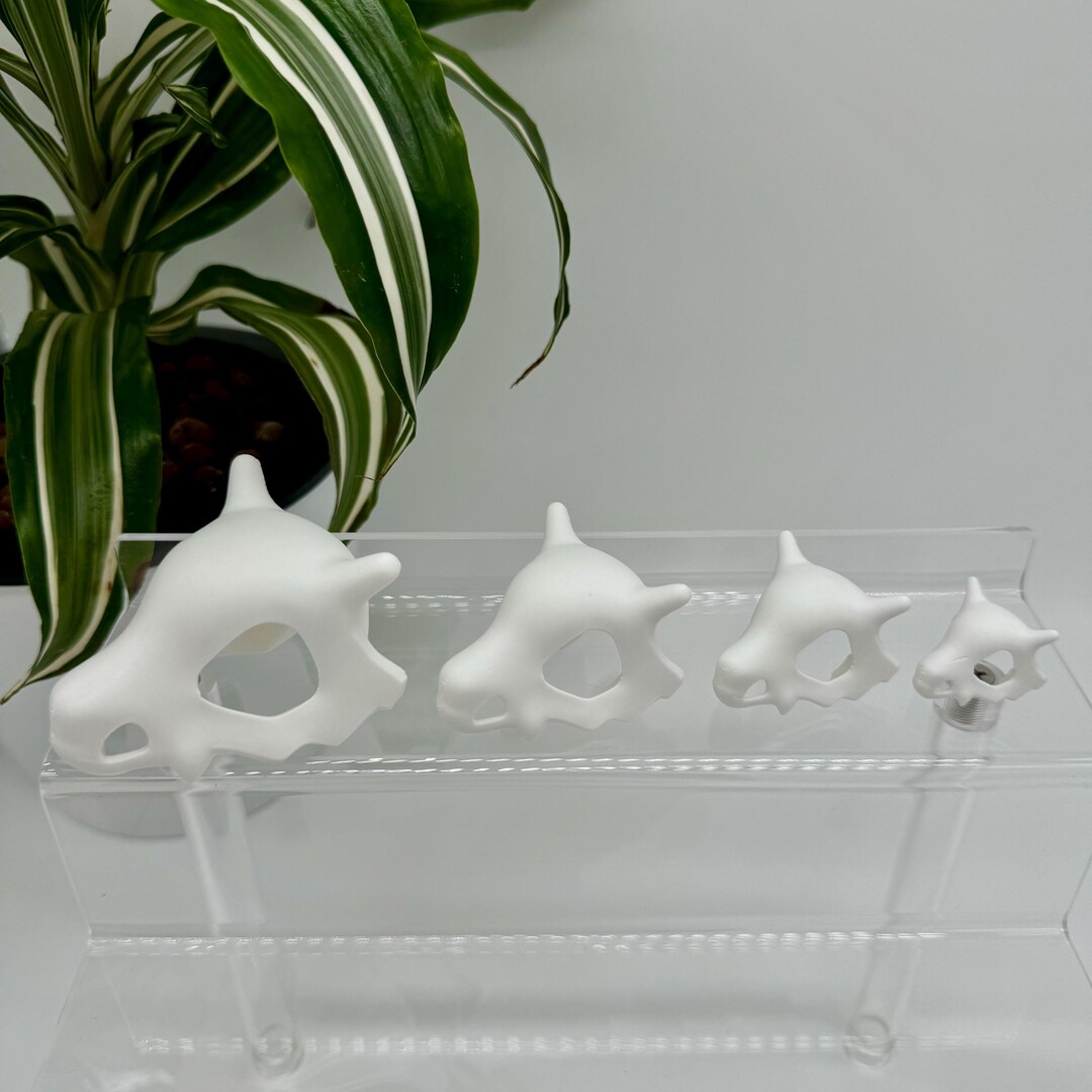 Jumping Spider or Tarantula Cubone Skull Decoration - Etsy