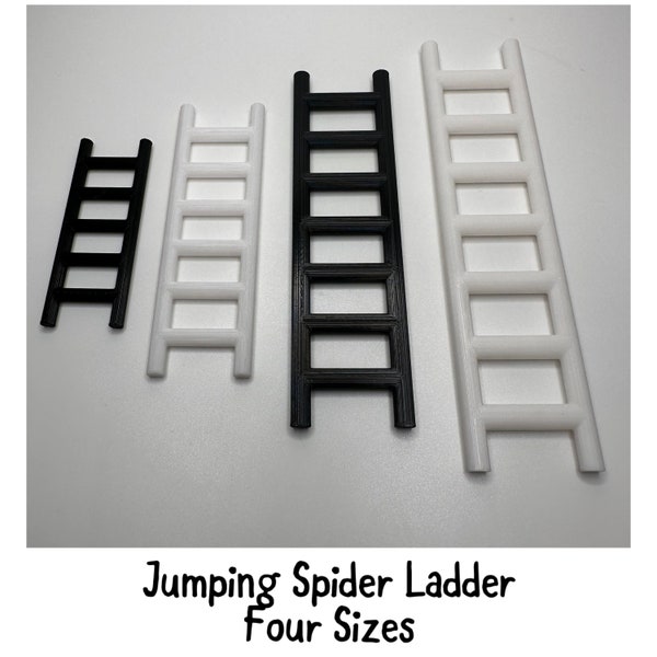 Jumping Spider Enclosure - Etsy