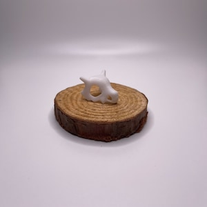 Jumping Spider or Tarantula Cubone Skull Decoration - Etsy