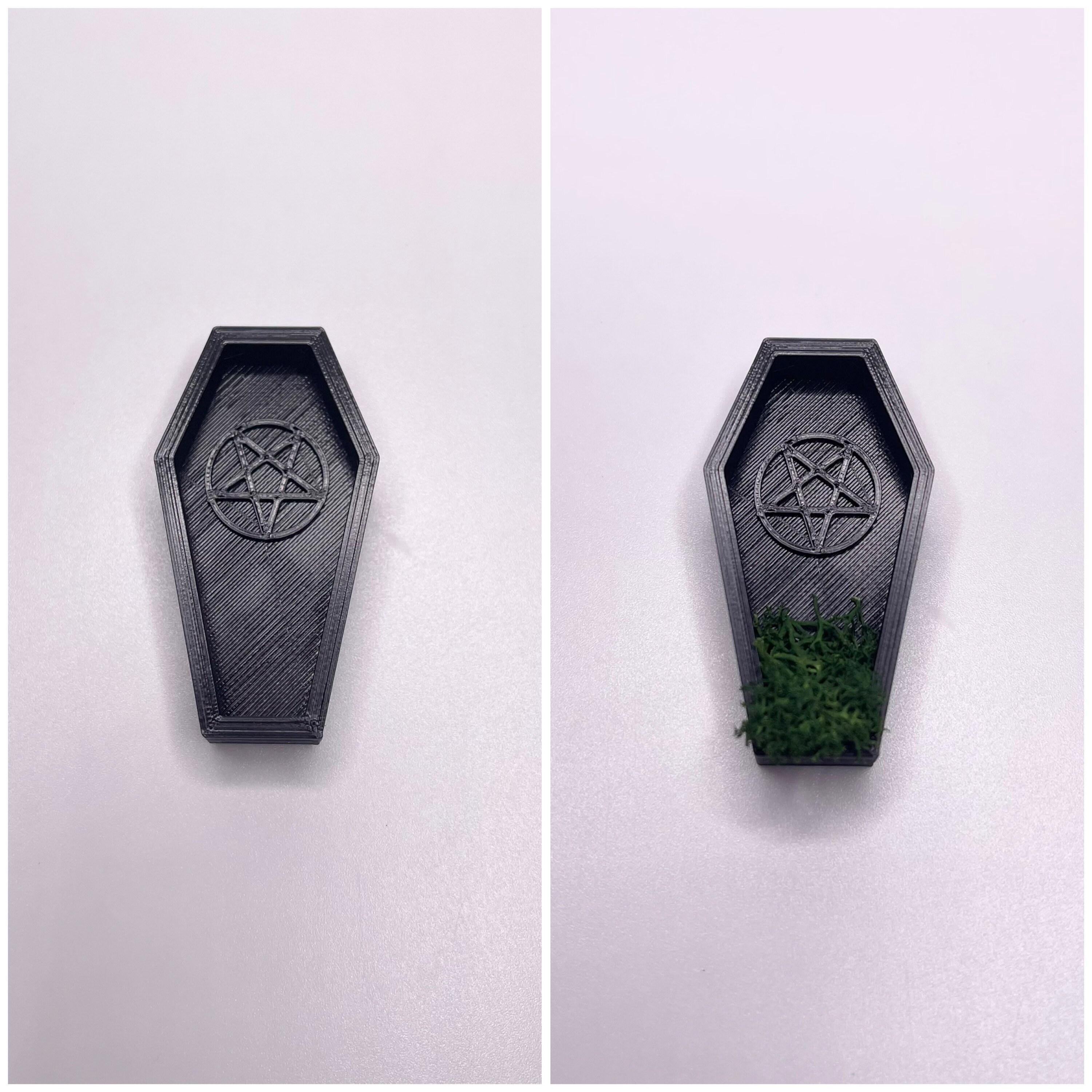 Jumping Spider Magnetic Coffin Decoration - Etsy