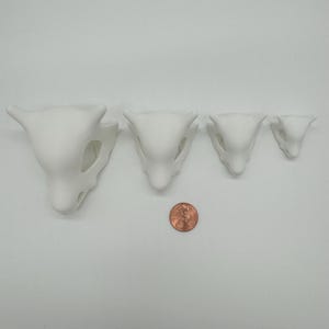 Jumping Spider or Tarantula Cubone Skull Decoration - Etsy