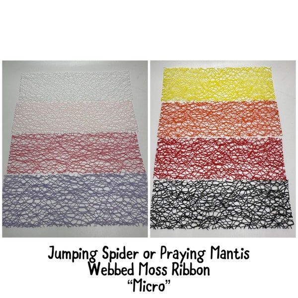 Spider Ribbon - Etsy