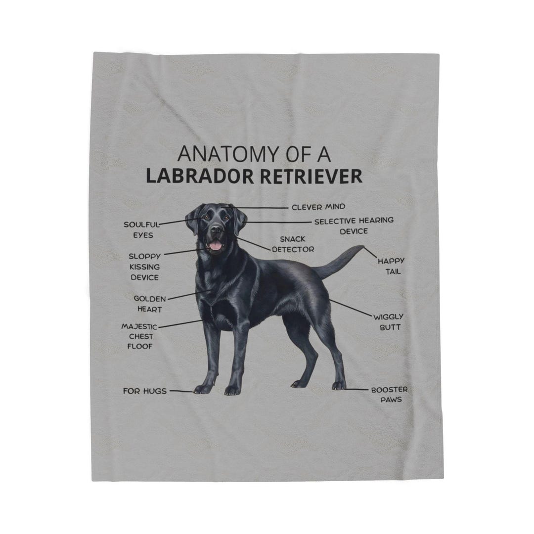 Funny Labrador Retriever Anatomy Plush Blanket, Dog Lover Gift, Cozy ...