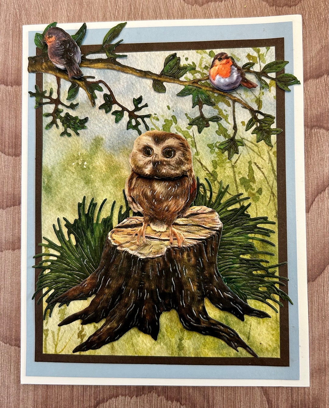 DIY Card Kit, Card Kit, Owl Card Kit, Birthday Card Kit, All Occasion ...