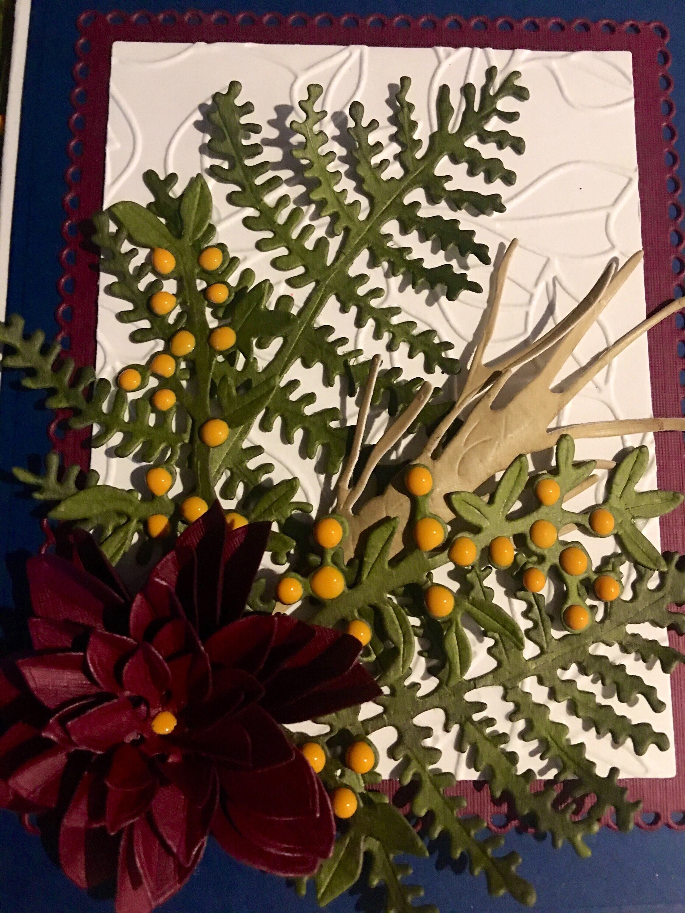 DIY Card Kit Birthday Card Kit All Occasion Card Kit Thank | Etsy