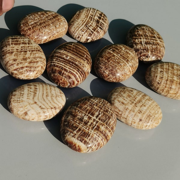 Brown Aragonite - Etsy