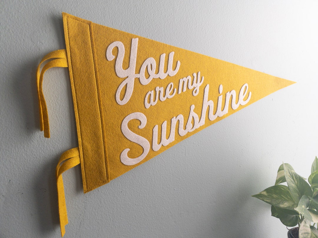 You Are My Sunshine Pennant Flag Nursery Wall Decor Art Baby Shower ...