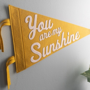 You Are My Sunshine Pennant Flag Nursery Wall Decor Art Baby Shower ...