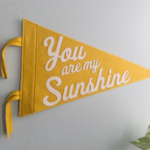 You Are My Sunshine Pennant Flag Nursery Wall Decor Art Baby Shower ...