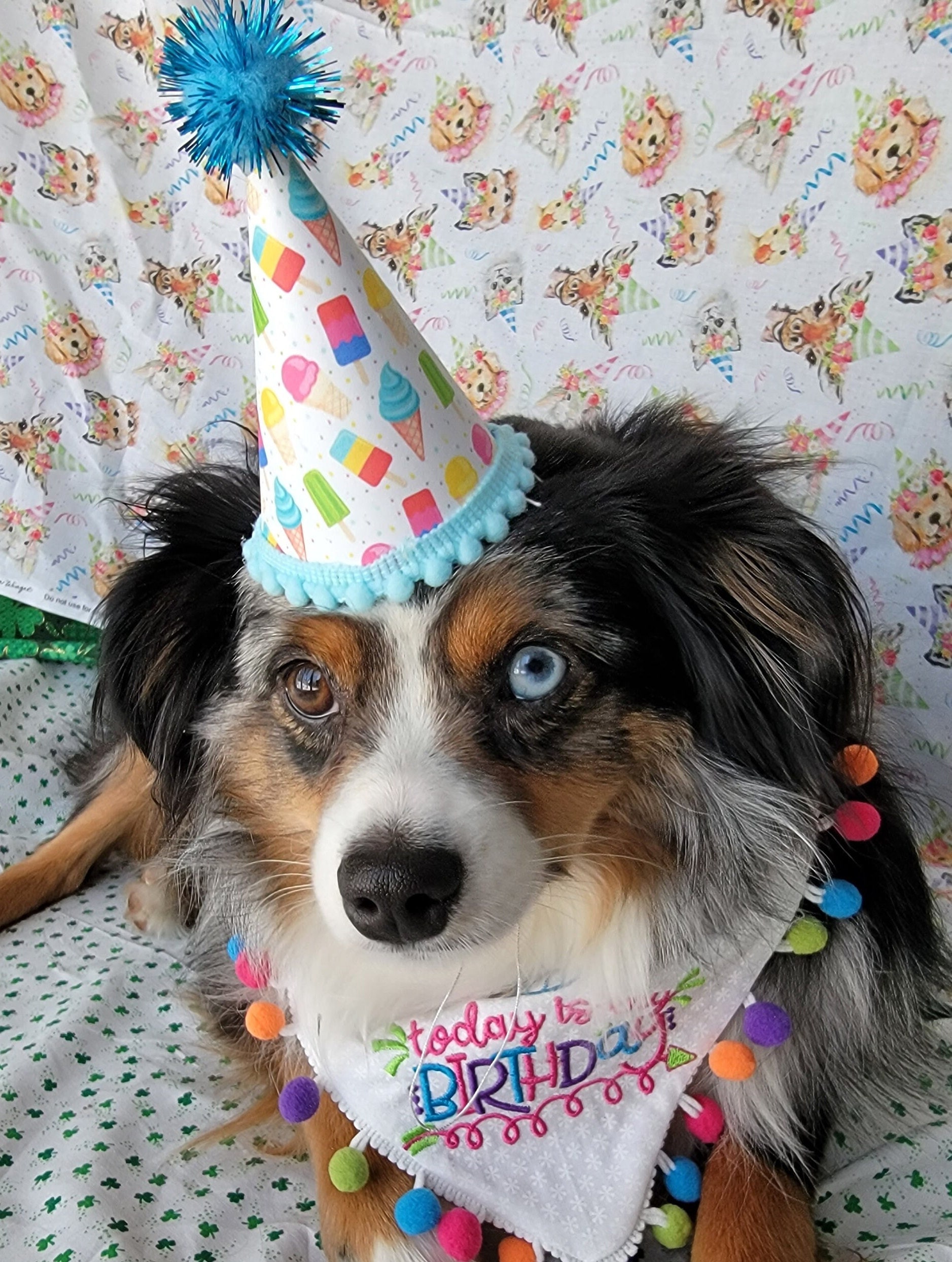 Dog Birthday Party Hat | Birthday Party Hat for Dogs, 4" Tall With Mini ...