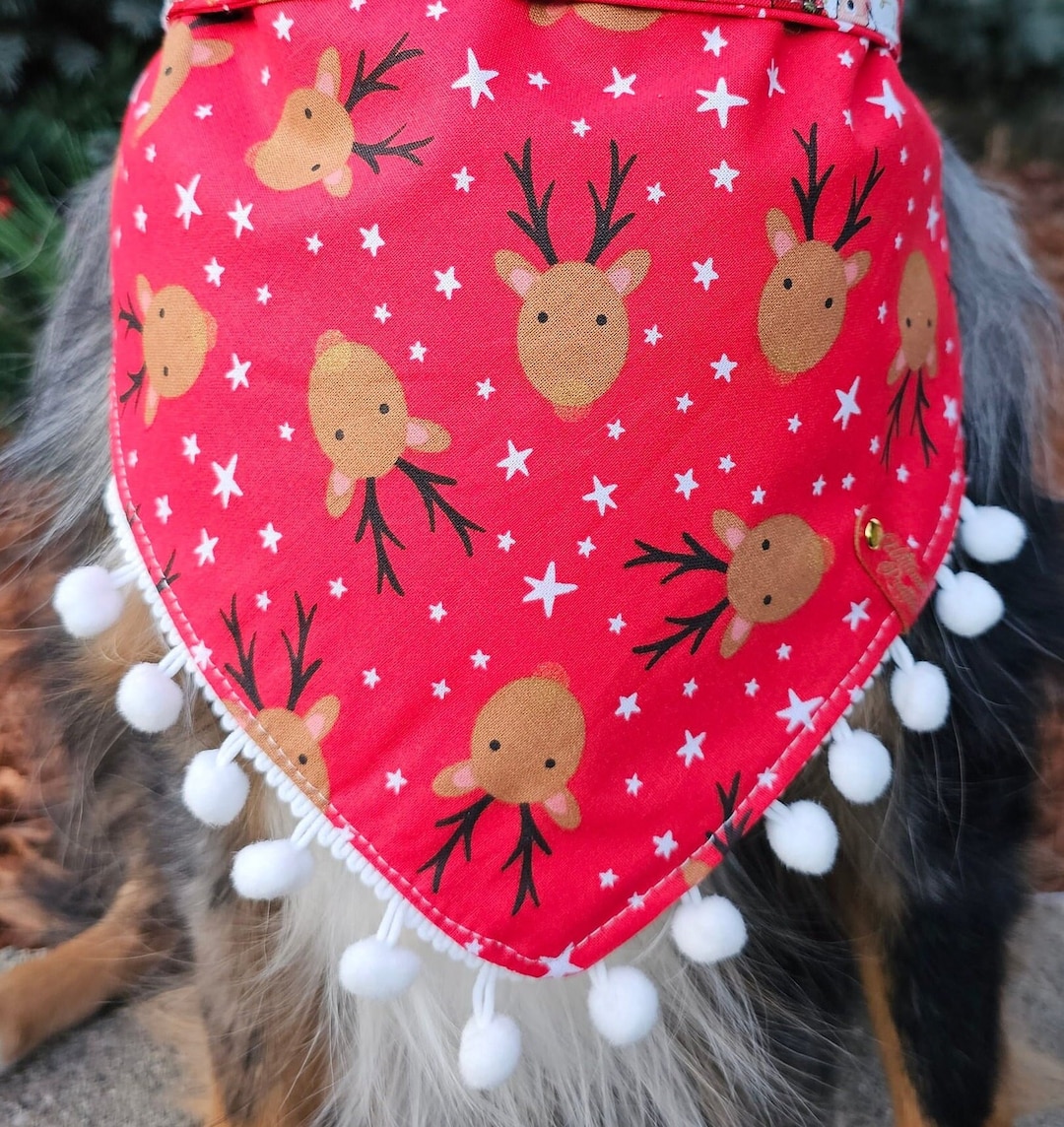 Rudolph the Reindeer, Puffy Santa Hats, Tie & Snap Style, Reversible ...