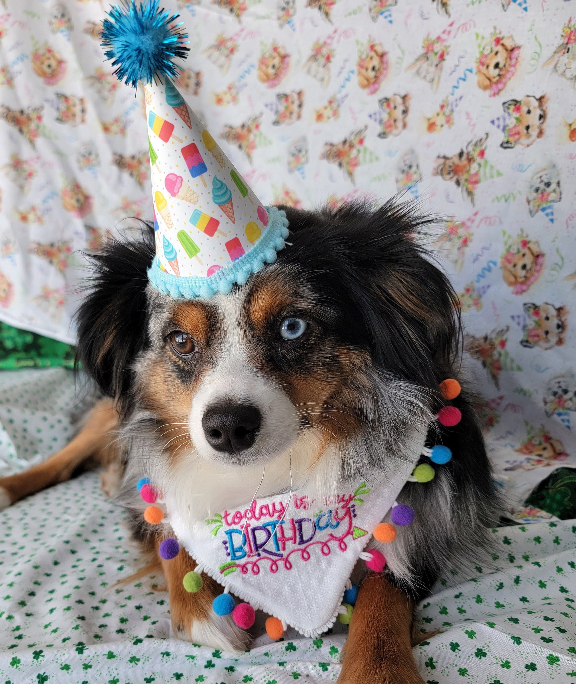 Dog Birthday Party Hat | Birthday Party Hat for Dogs, 4" Tall With Mini ...