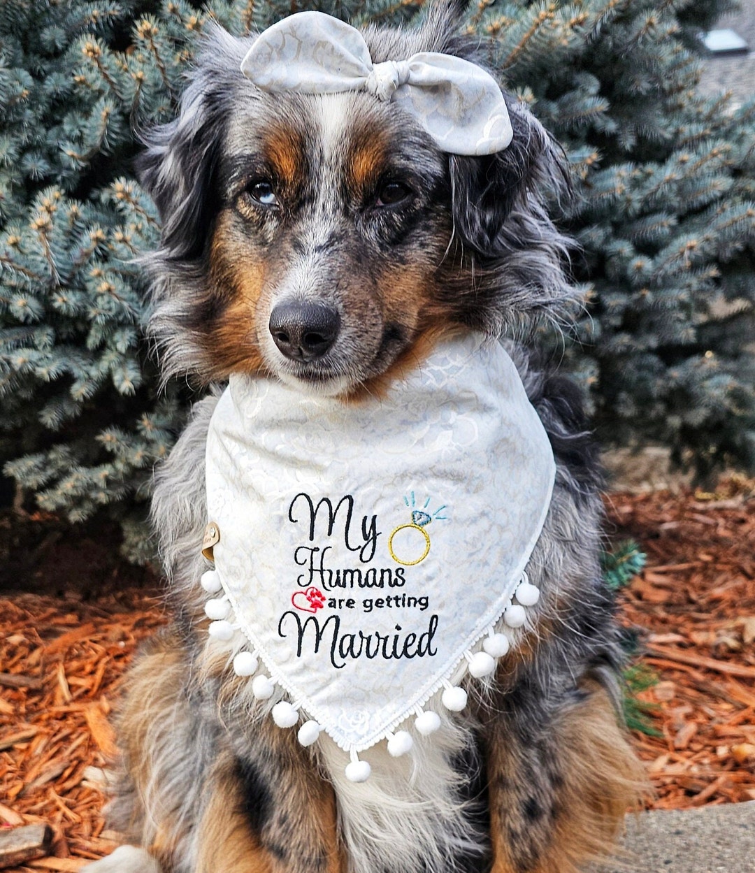 My Humans Are Getting Married Dog Engagement Announcement Bandana, Tie ...