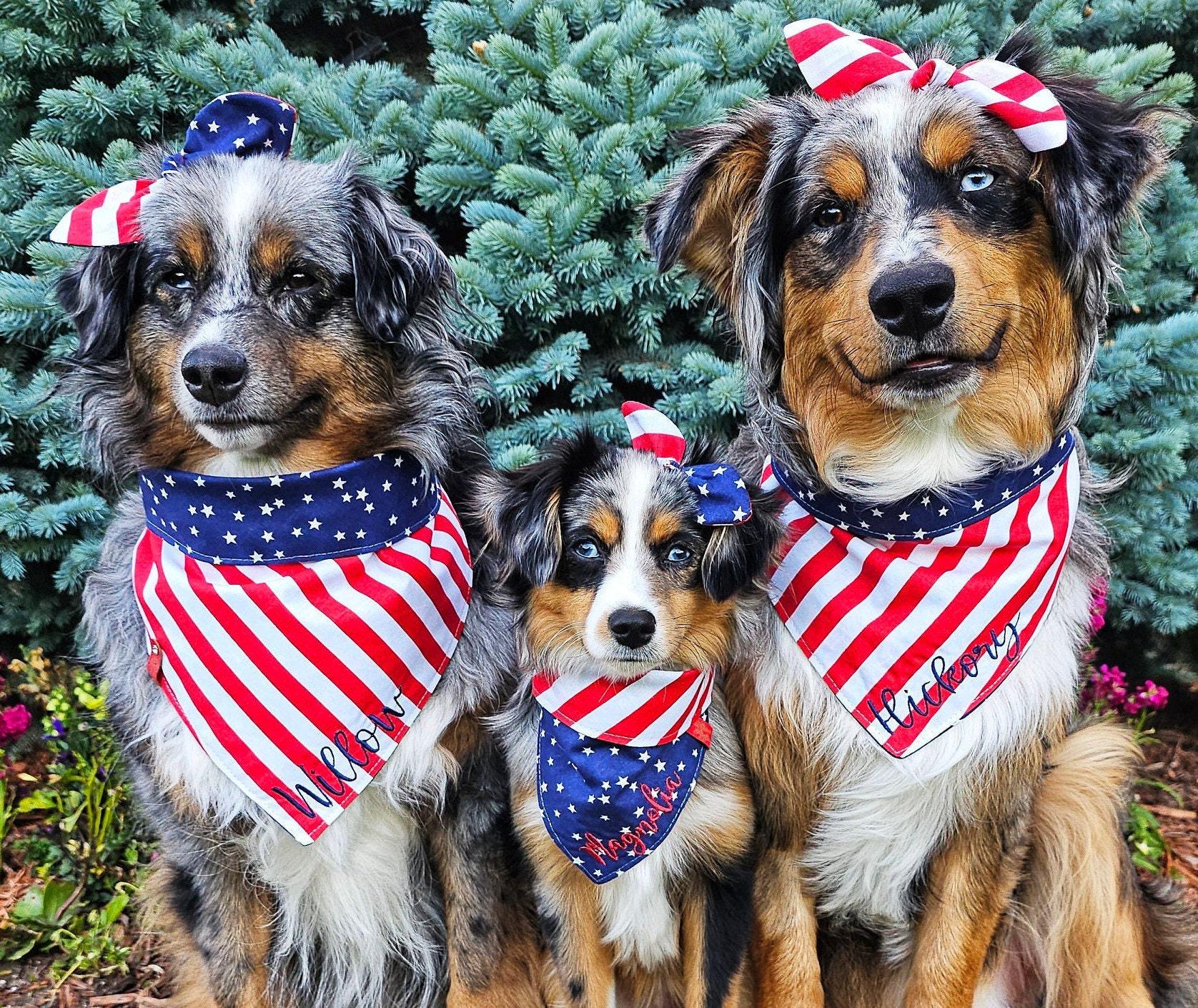 American Flag Dog Bandana, Memorial Day/july 4th, Tie & Snap Style ...