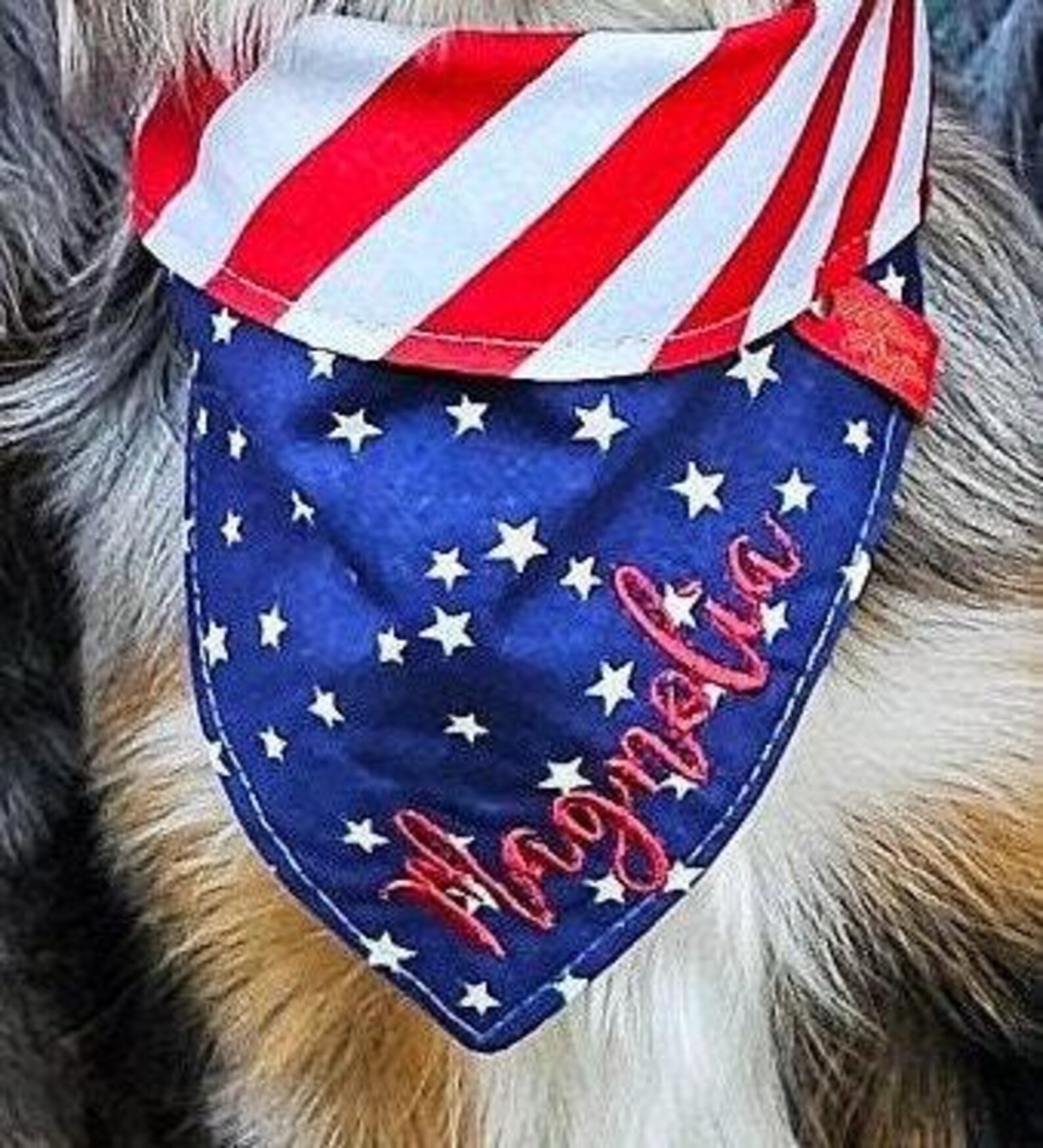 American Flag Dog Bandana, Memorial Day/july 4th, Tie & Snap Style ...