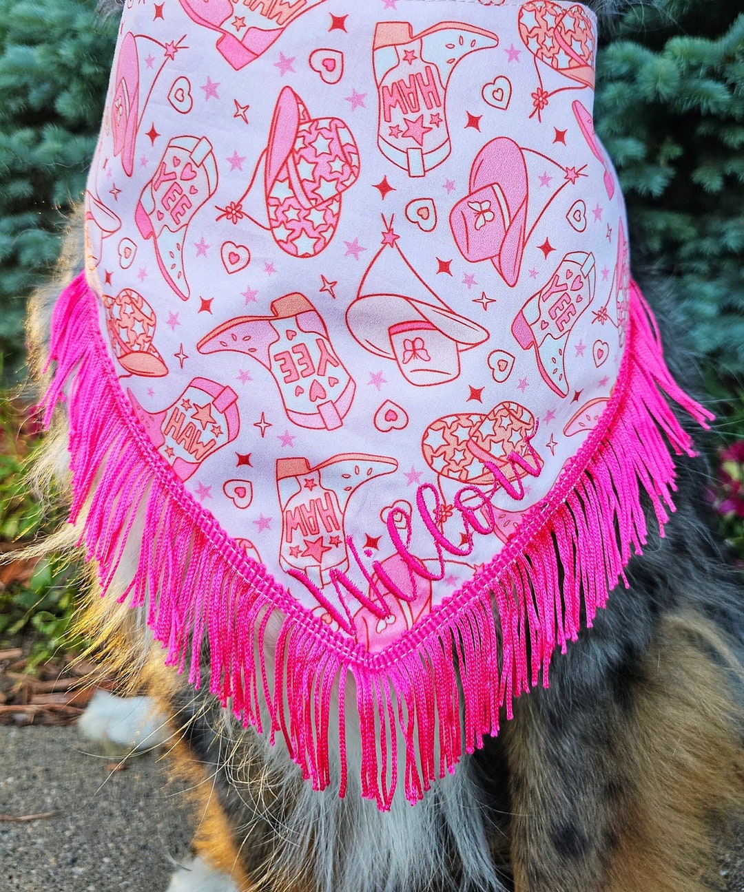 Pink Horse Girl Fringe Dog Bandana, Tie & Snap Style, Personalized ...