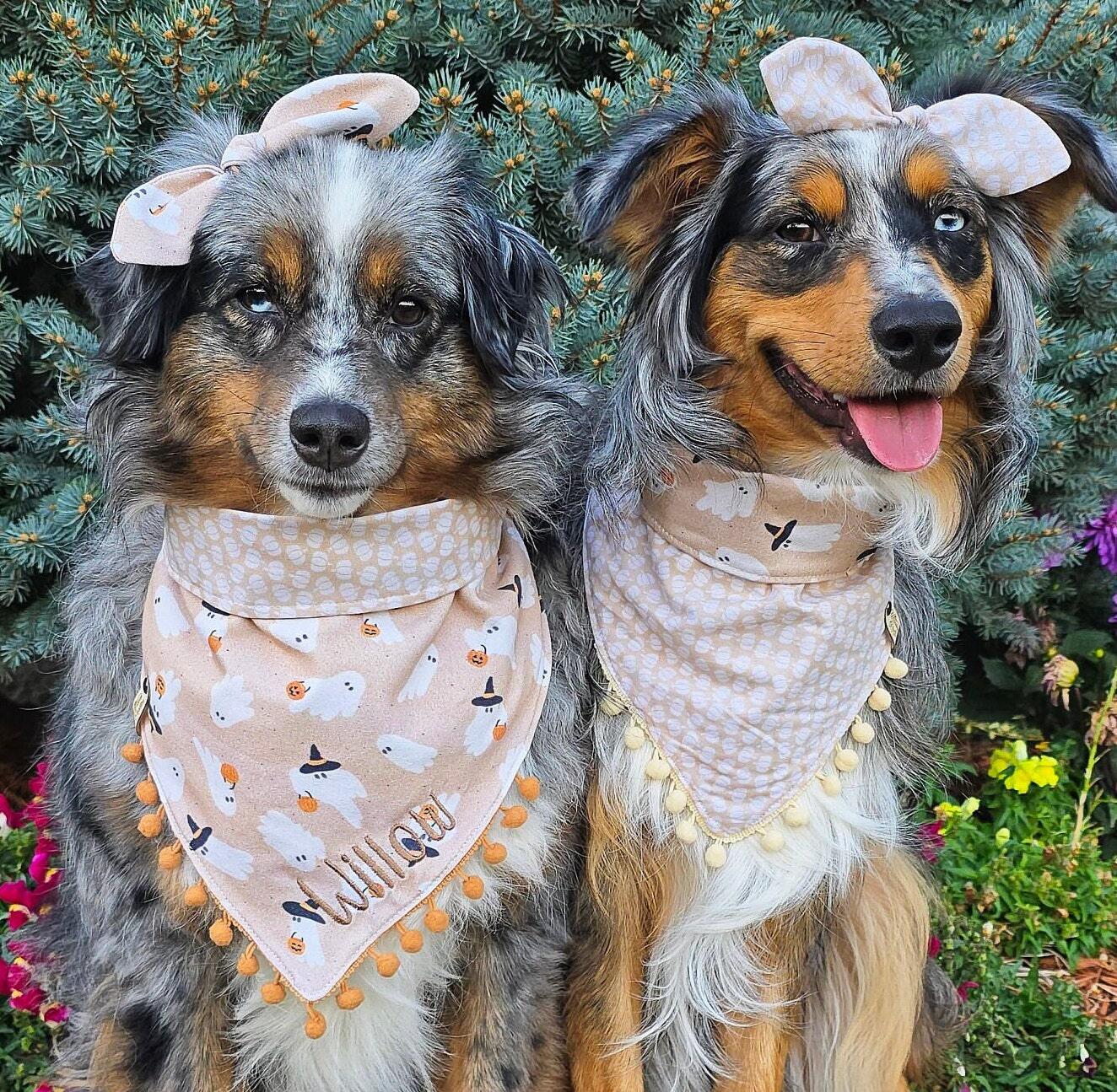 Trick or Treat Ghost Neutral Dog Halloween Bandana, Tie & Snap Foldover ...