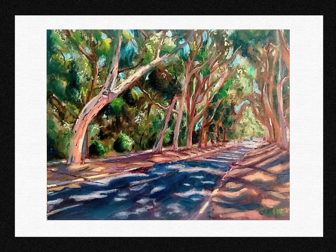 Kings Park Trees Perth Western Australia Avenue Original Art Oil ...