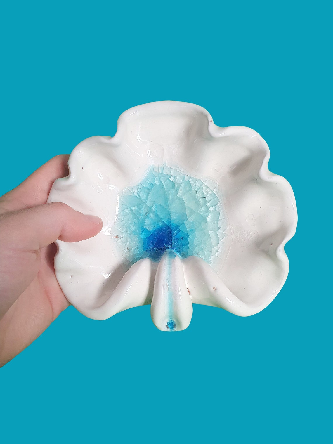 Sea Shell Jewelry Holder - Etsy