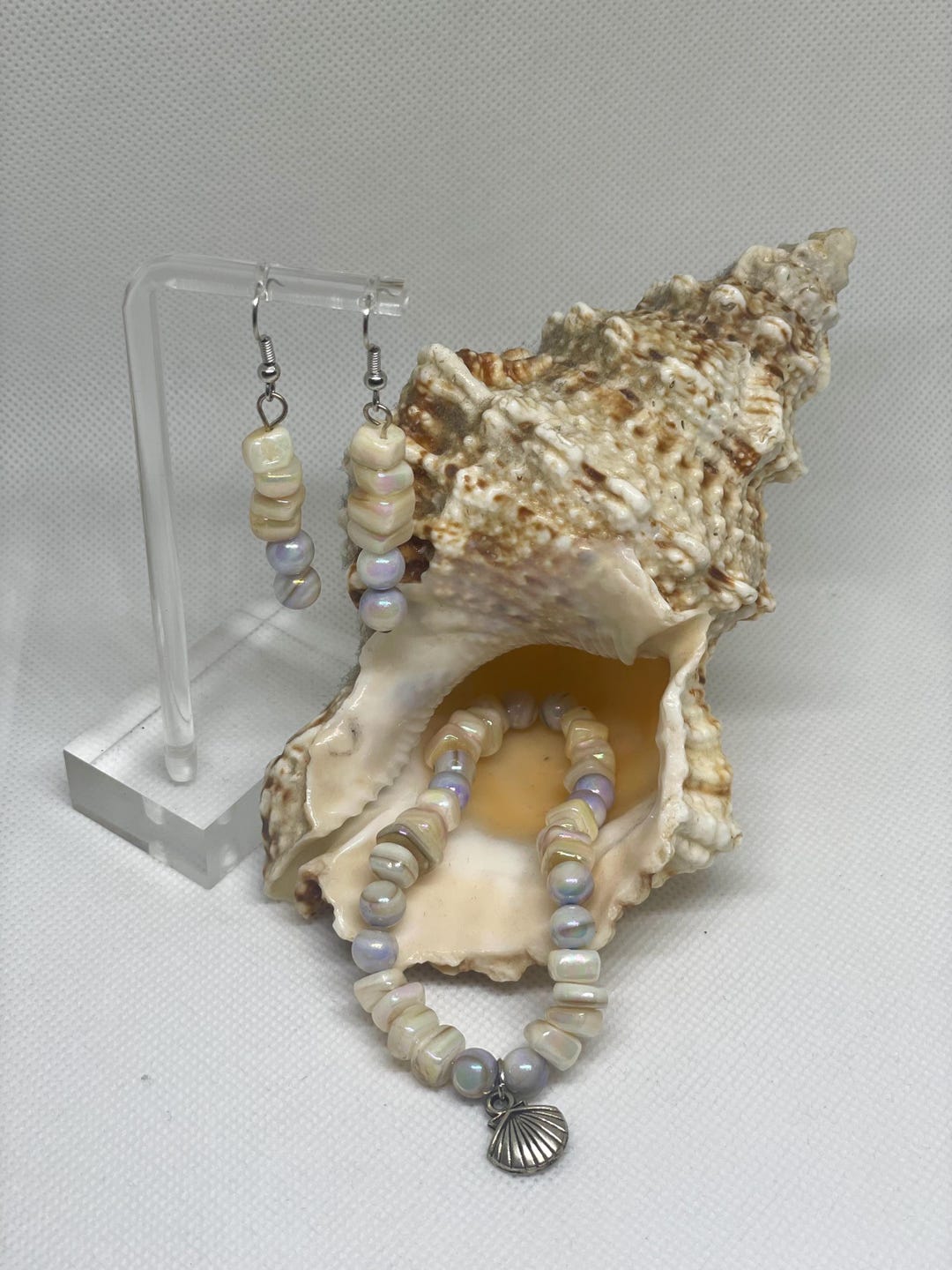 Periwinkle Shell Charm Set - Etsy