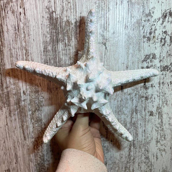 Starfish Tree Topper - Etsy