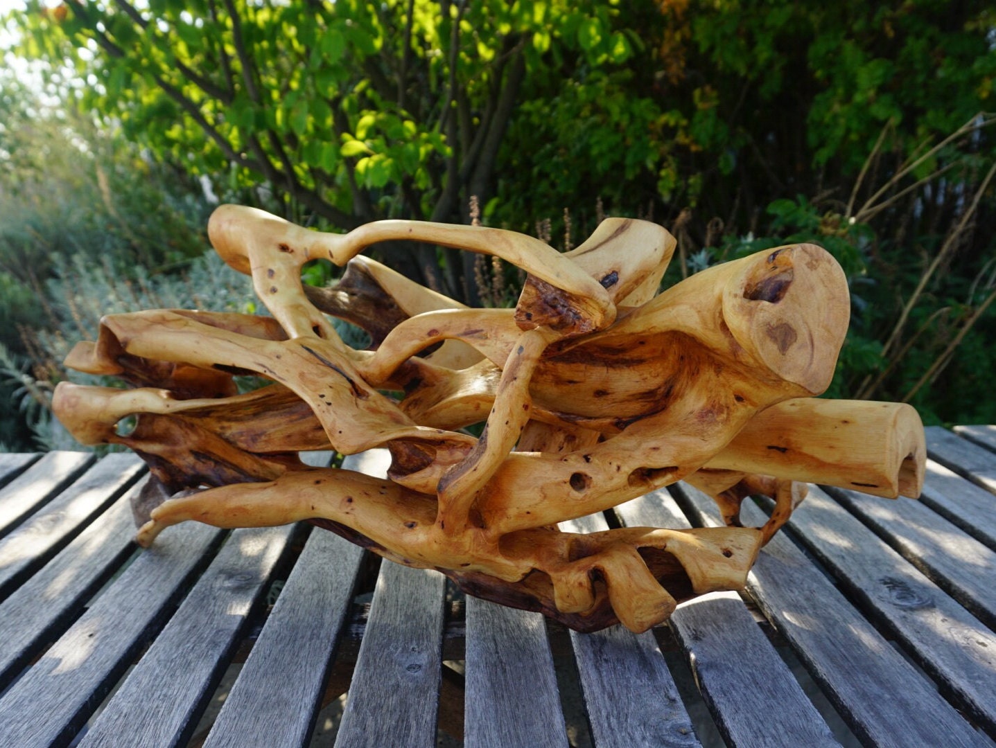 Abstract Wood Root Sculpture Made of Alder Wood Alder Wood - Etsy Australia