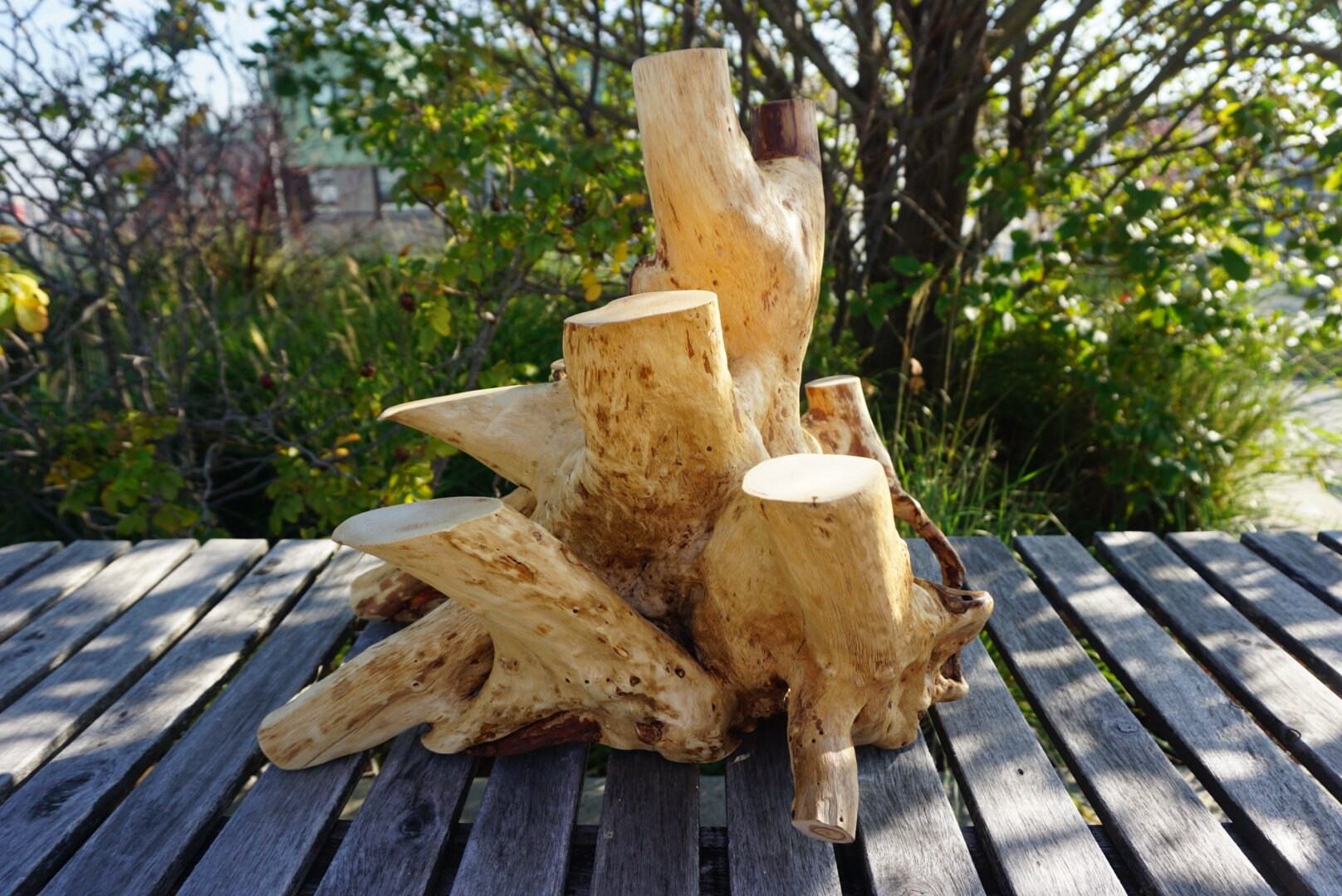 Hazelnut Statue Hazelnut Sculpture Floor Sculpture Made of Hazelnut ...