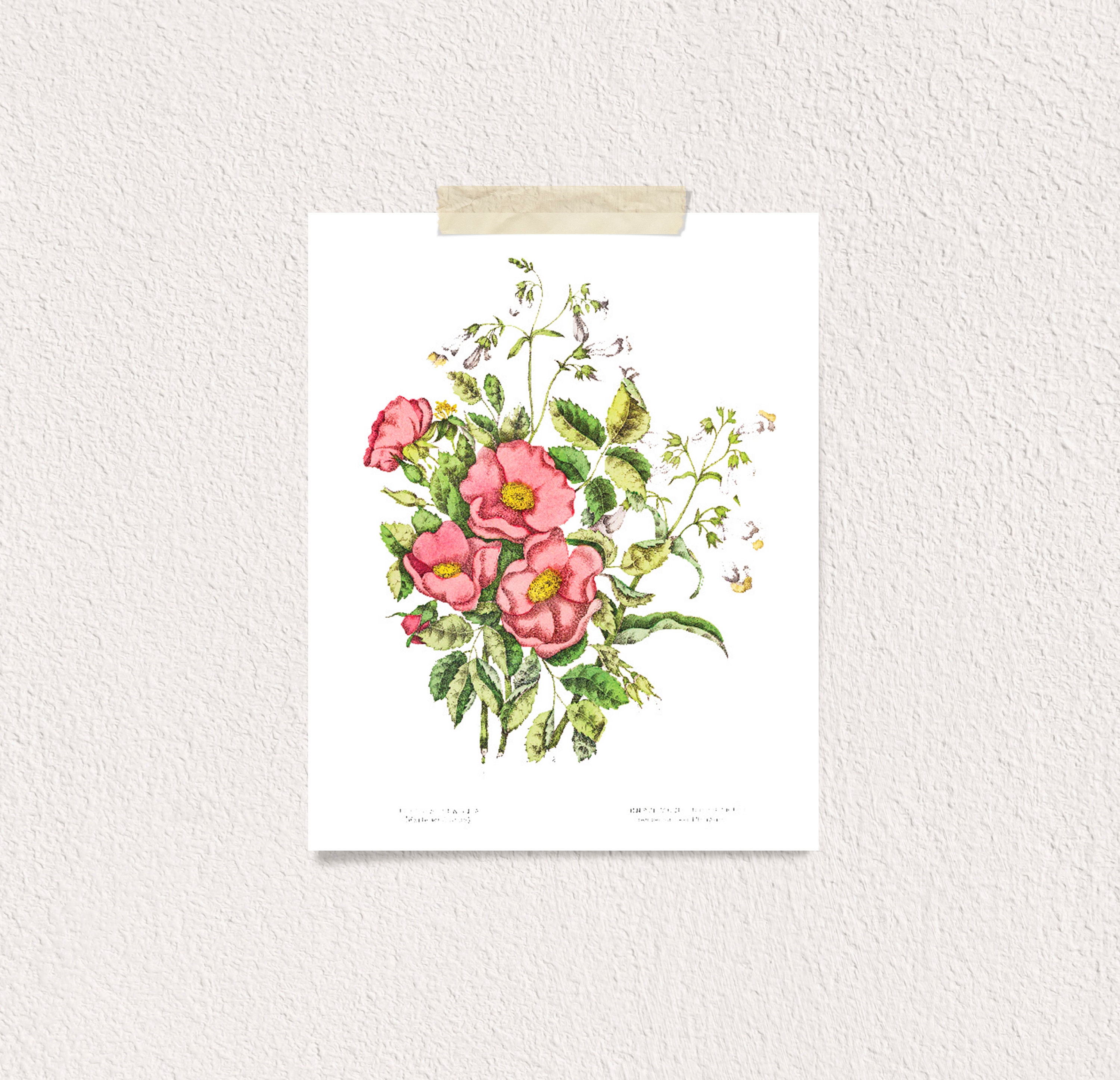 Pink Flowers Printable Wall Art Digital File - Etsy