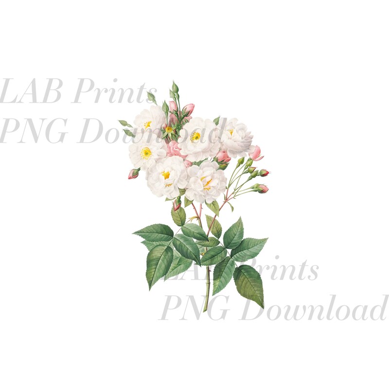 LABPrints - Etsy
