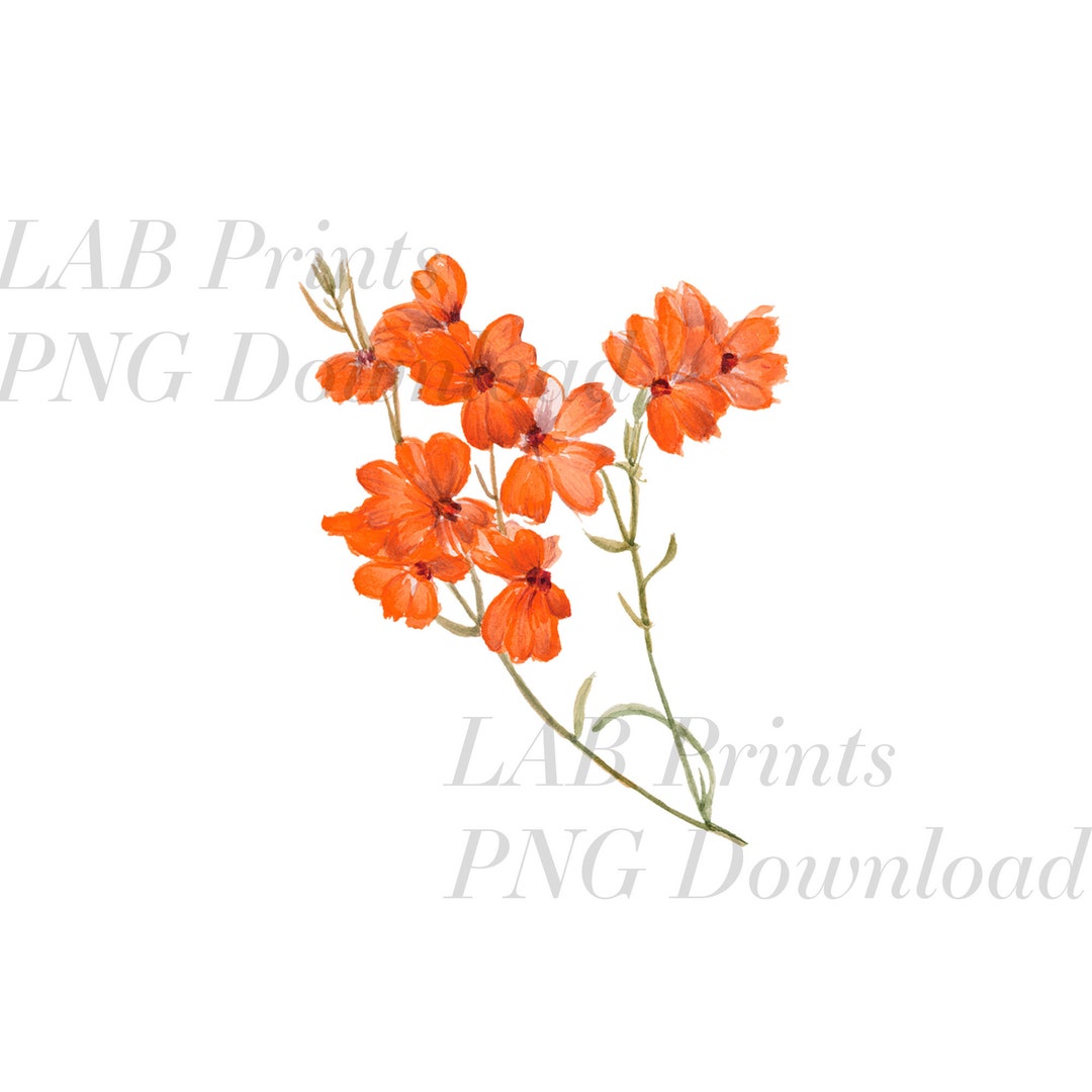 Orange Flower Bouquet PNG Digital Clip Art File - Etsy