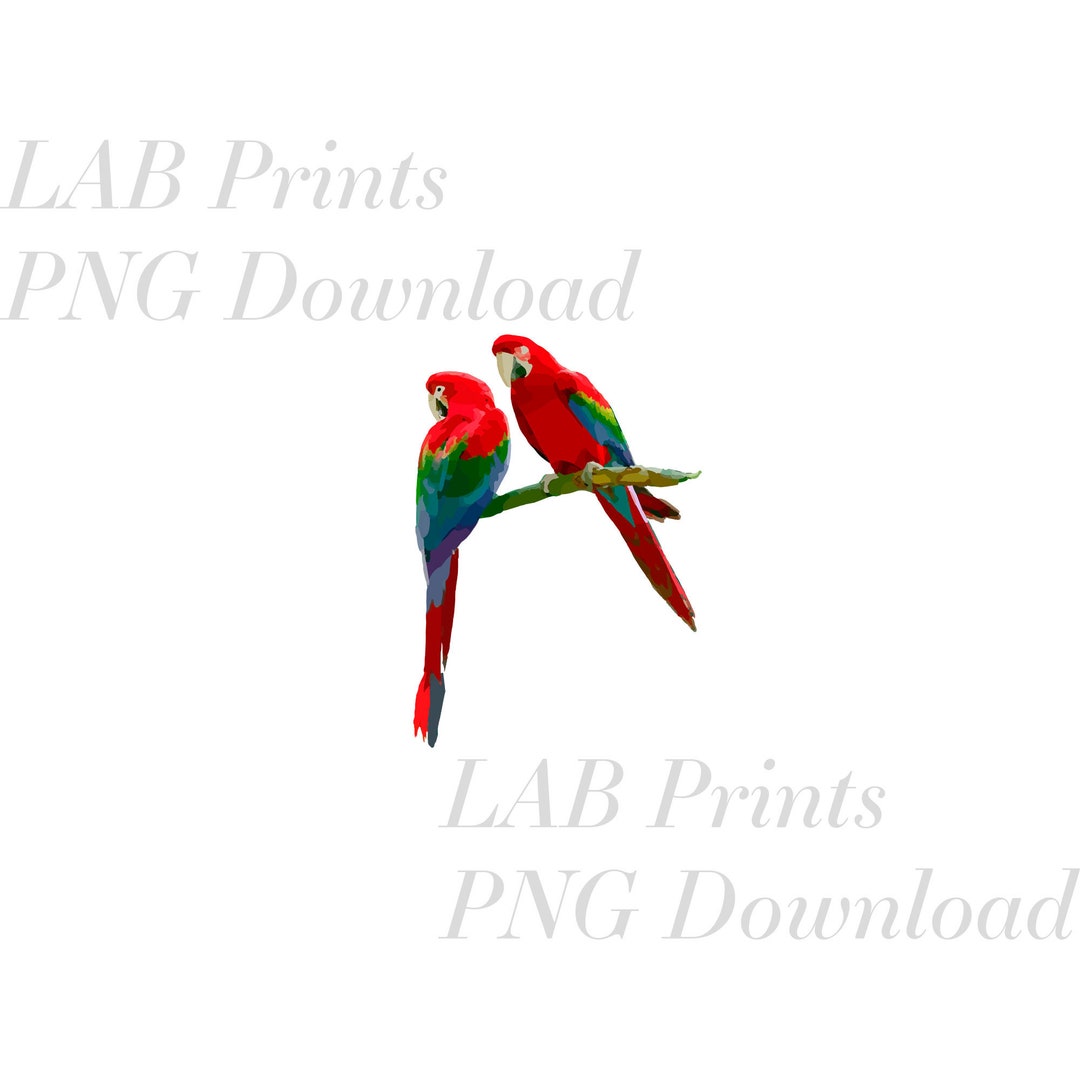 Red Parrots PNG Digital Clip Art File - Etsy Australia