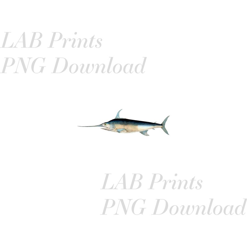 Swordfish PNG Digital Clip Art File - Etsy
