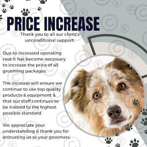 Low price dog grooming store