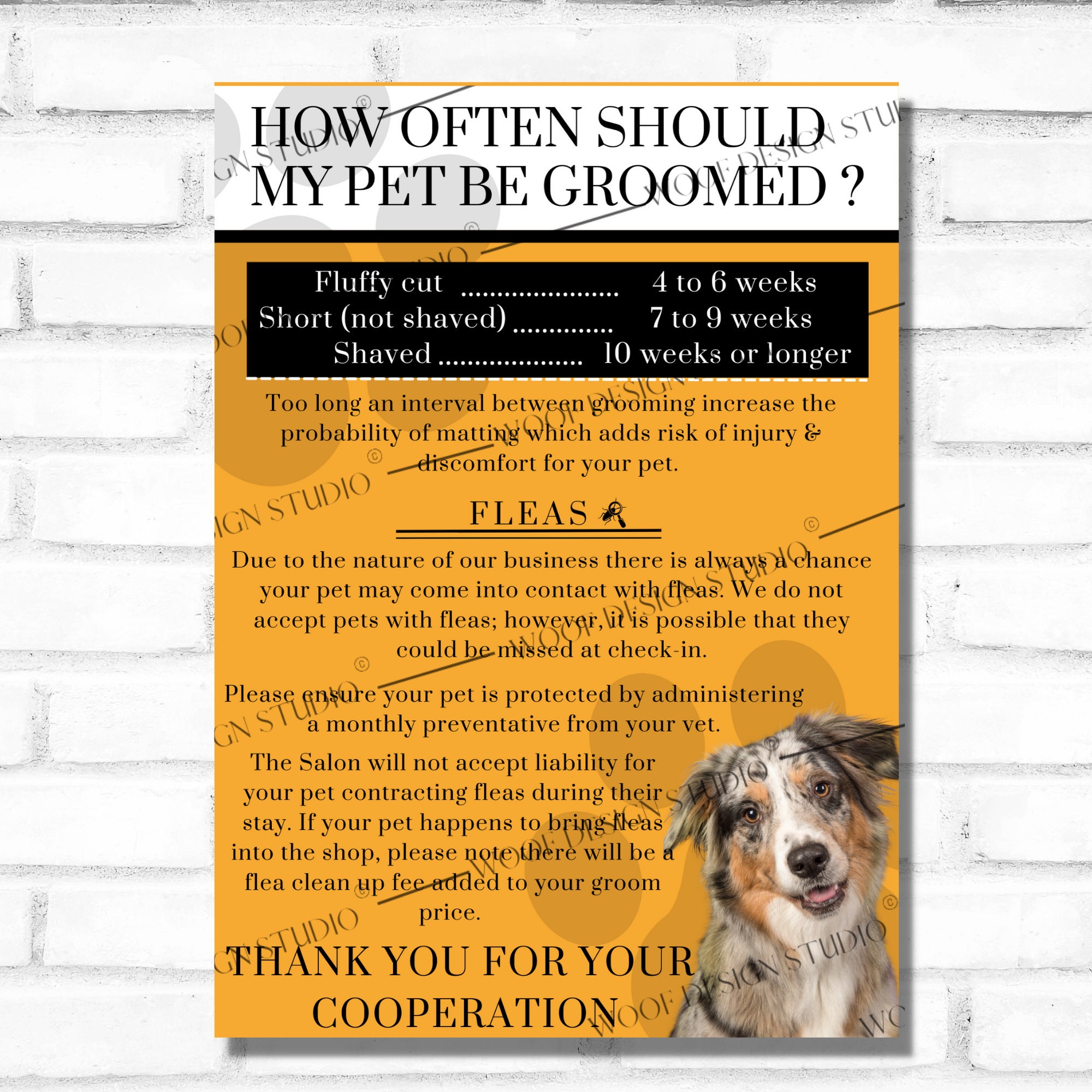 Modern Dog Grooming Salon Policy | Instant Downloads| Instant Prints ...