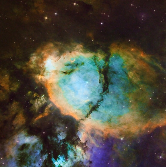 Fish Nebula